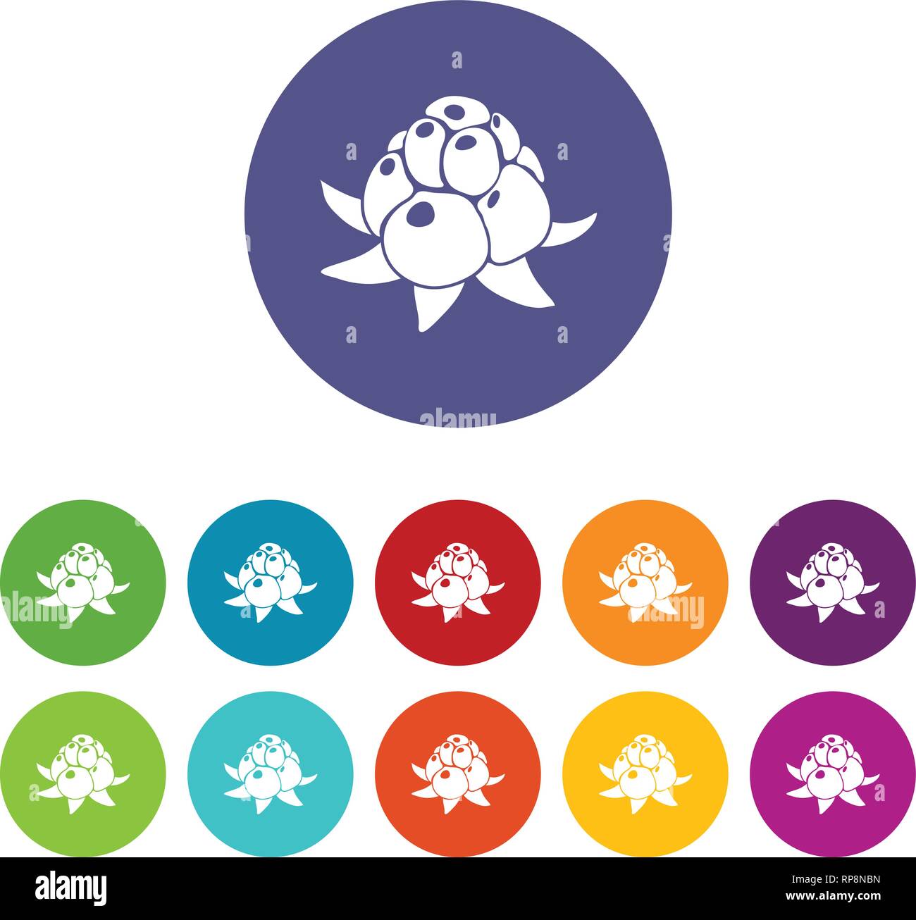 Wild raspberry icons set vector color Stock Vector Image & Art - Alamy