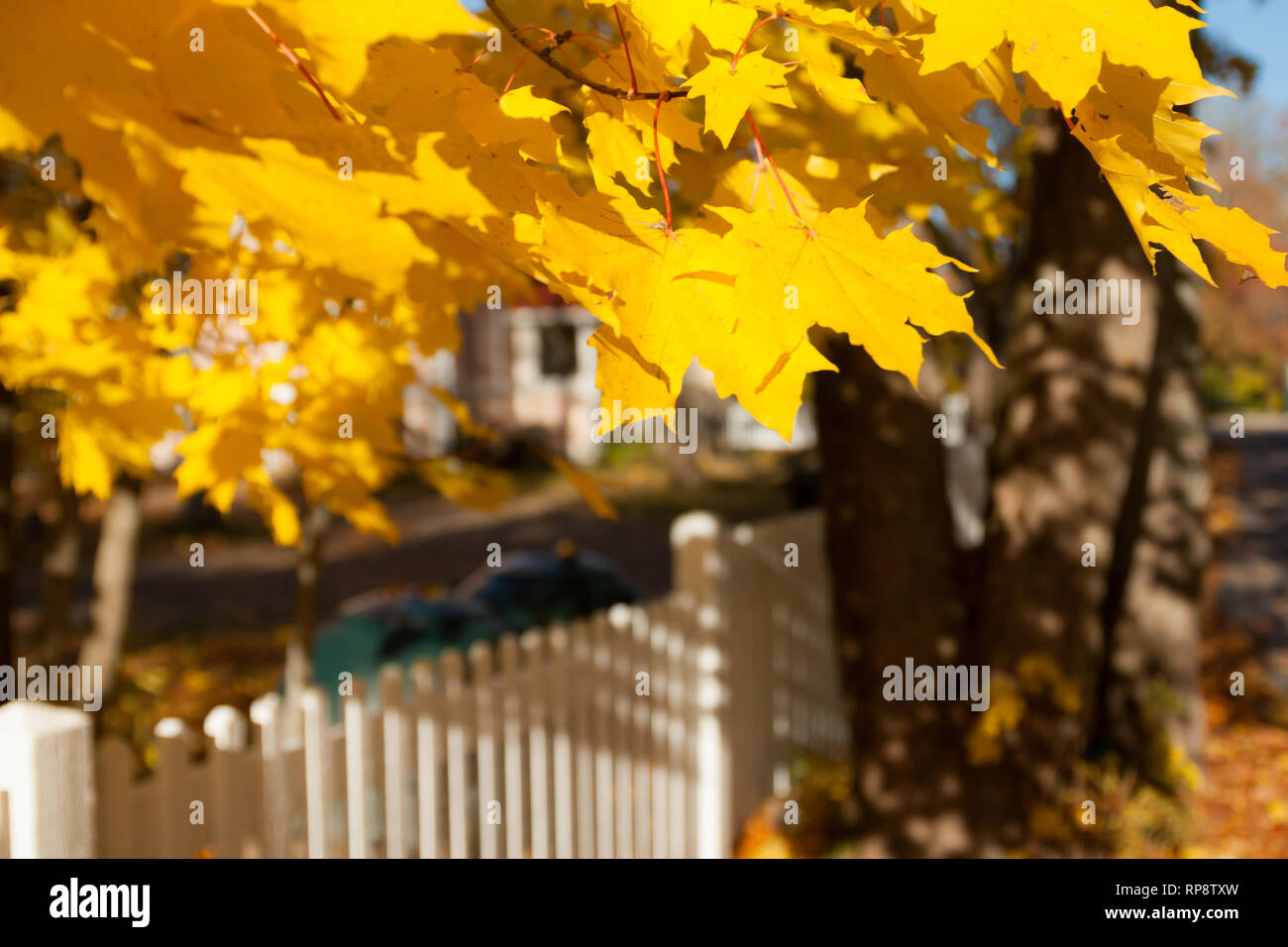 Beautiful colorful autumn scene with white fence and fall colors in ...