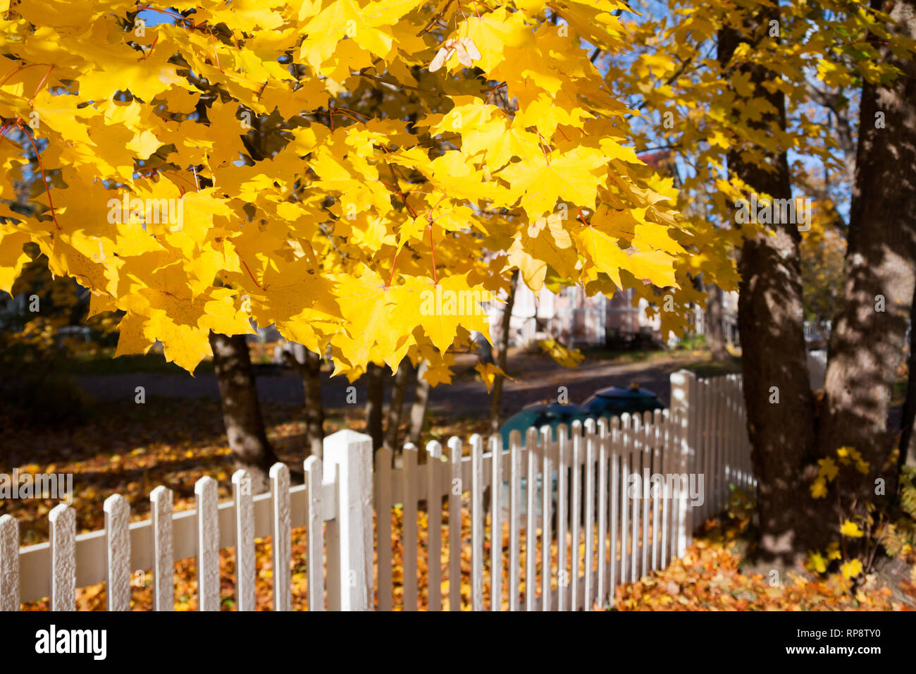 Beautiful colorful autumn scene with white fence and fall colors in ...