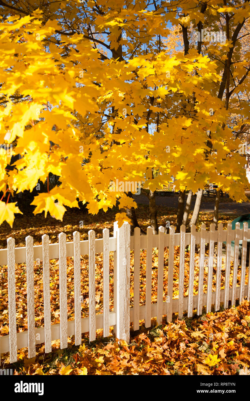 Beautiful colorful autumn scene with white fence and fall colors in ...