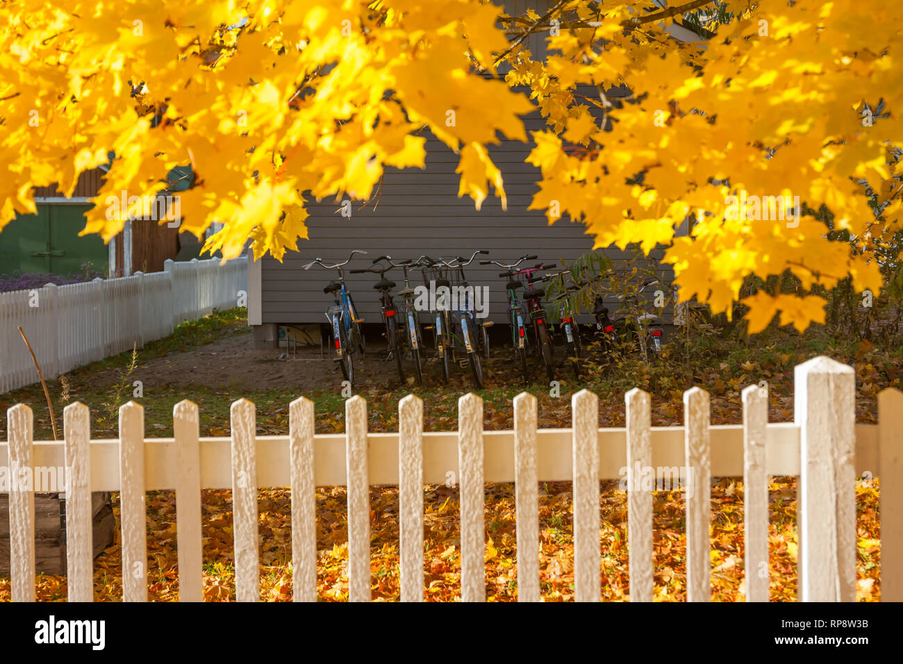 Beautiful colorful autumn scene with bikes, white fence and fall colors ...