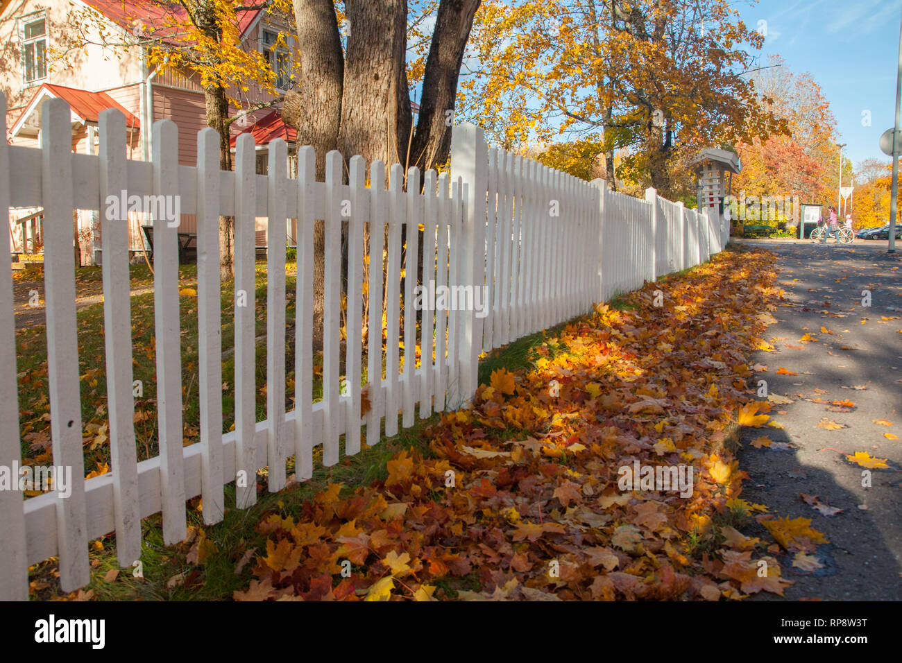 Red maple and white picket fence hi-res stock photography and images ...