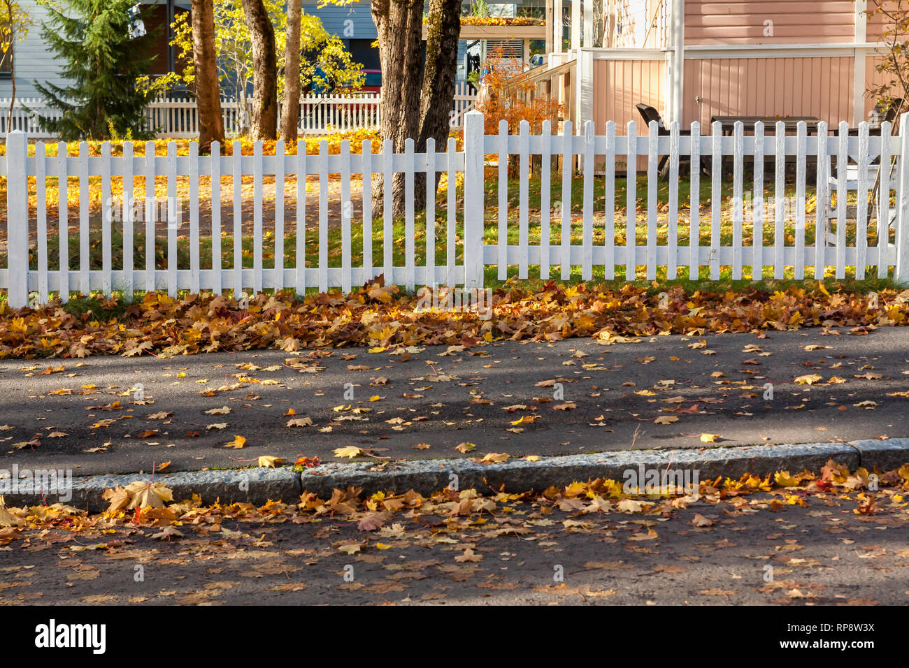 Red maple and white picket fence hi-res stock photography and images ...