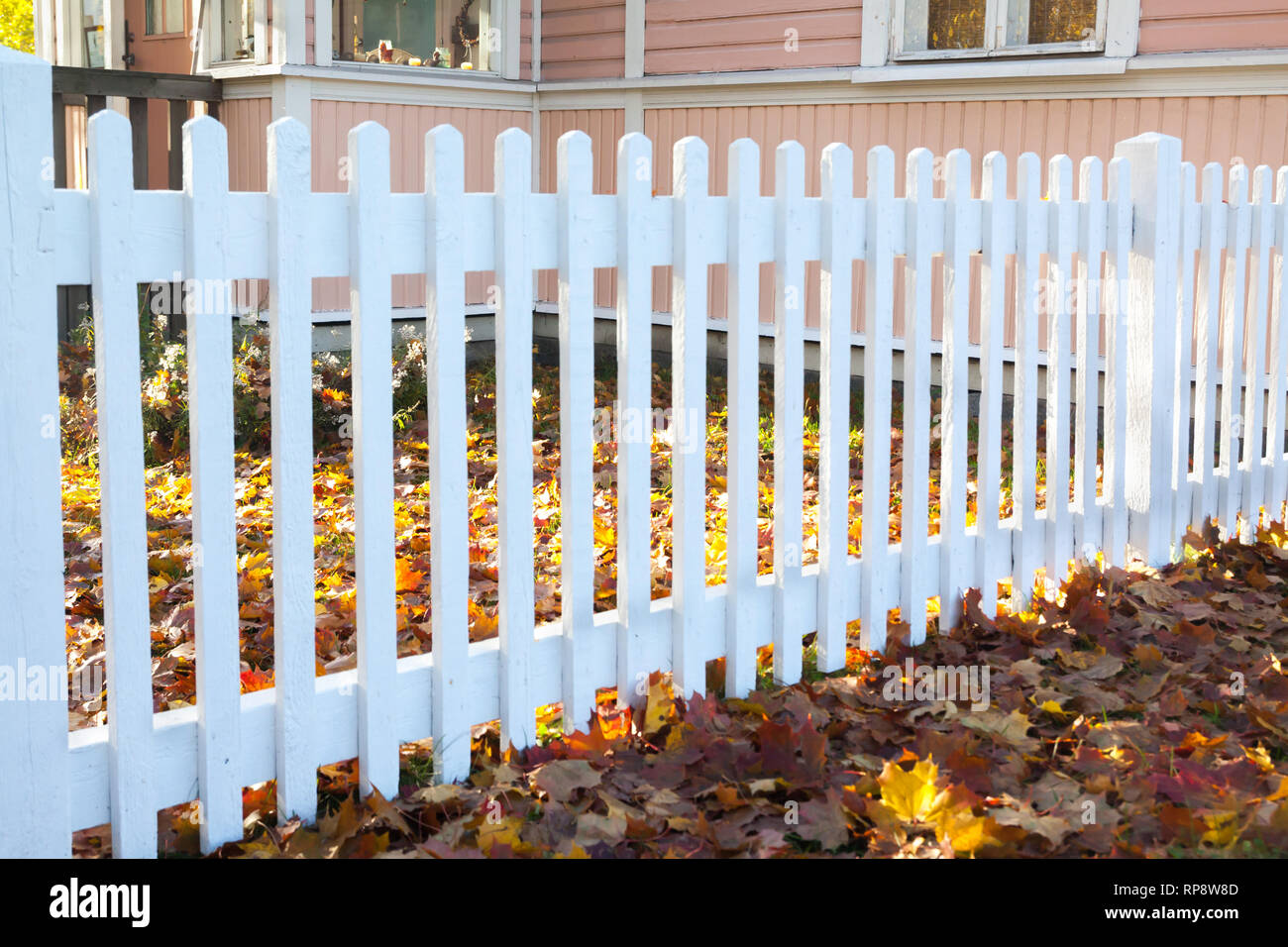 Beautiful colorful autumn scene with white fence and fall colors in ...
