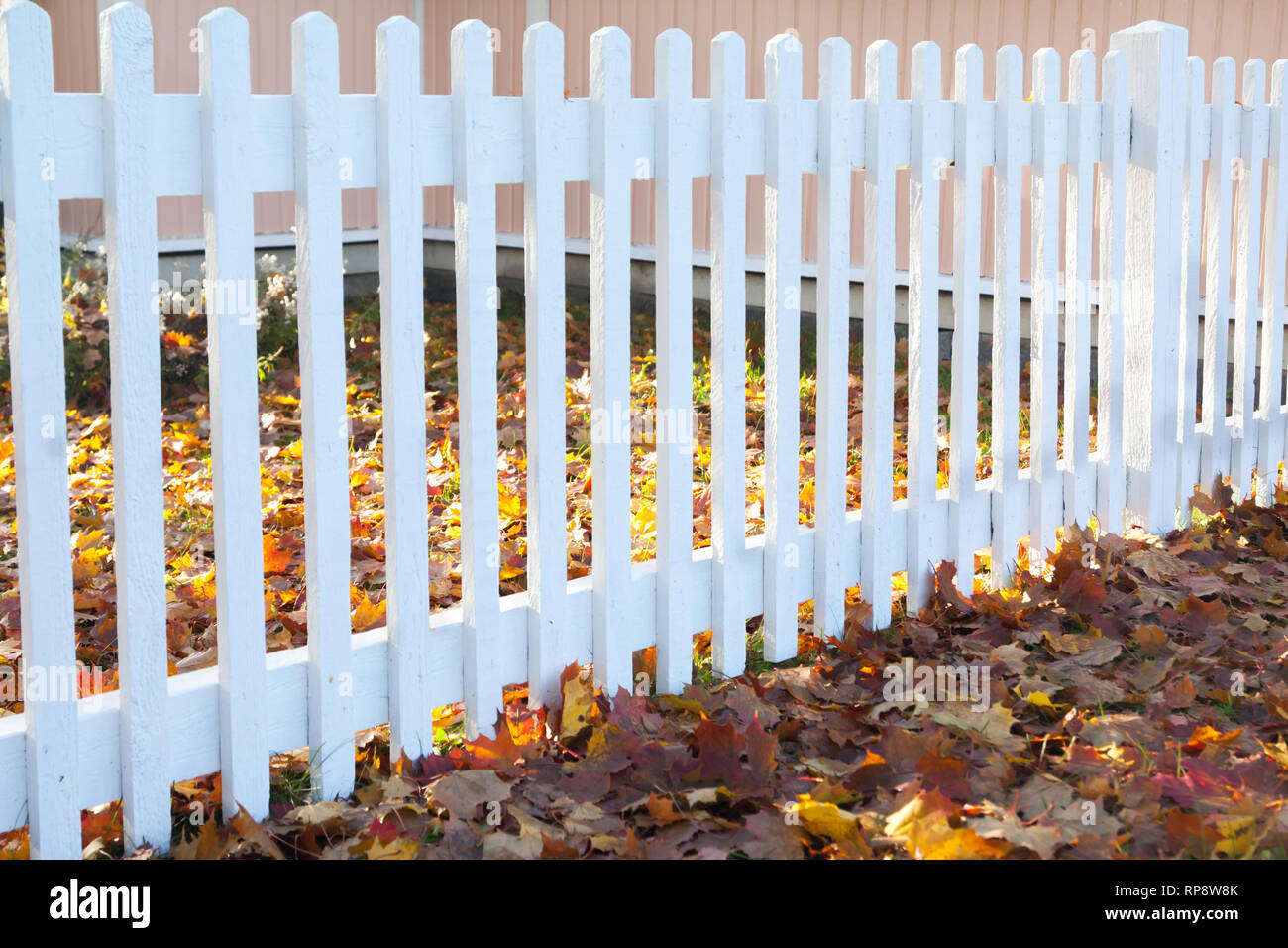 Beautiful colorful autumn scene with white fence and fall colors in ...