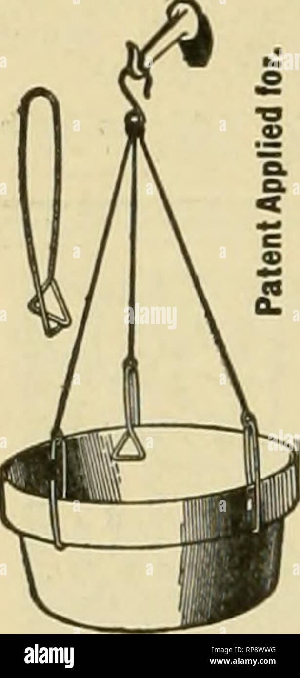 Rose cutler hi-res stock photography and images - Alamy