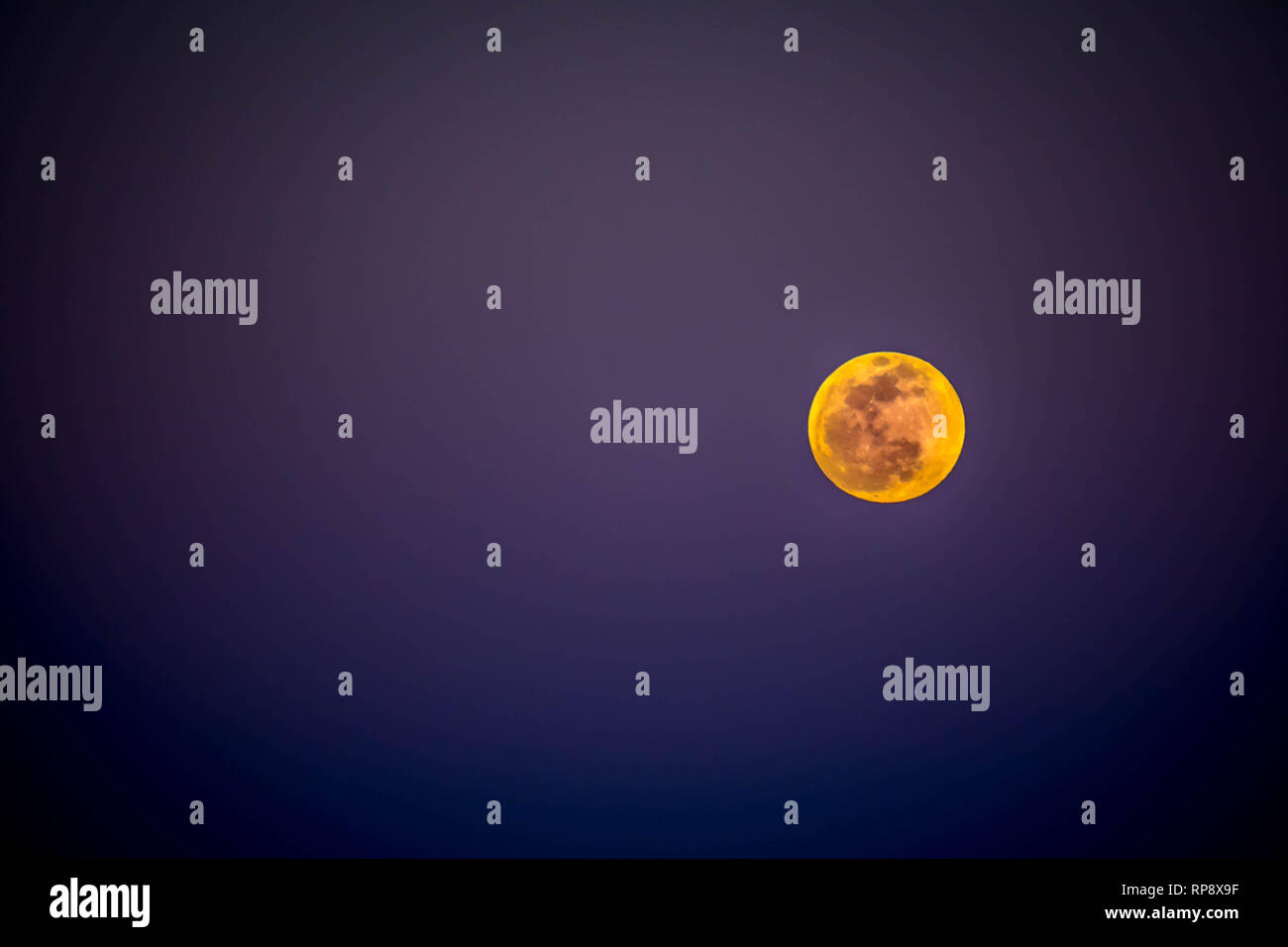 Blood red wolf moon eclipse hi-res stock photography and images - Alamy