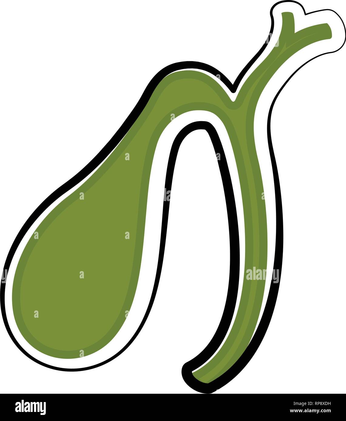 Gallbladder Clip Art