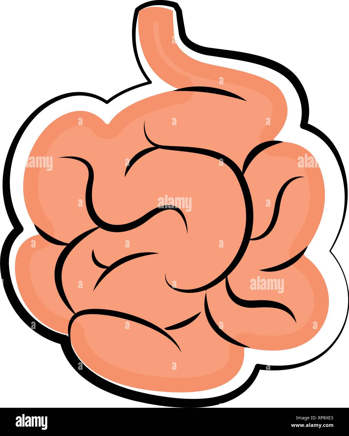 Small intestine anatomy Stock Vector Images - Alamy