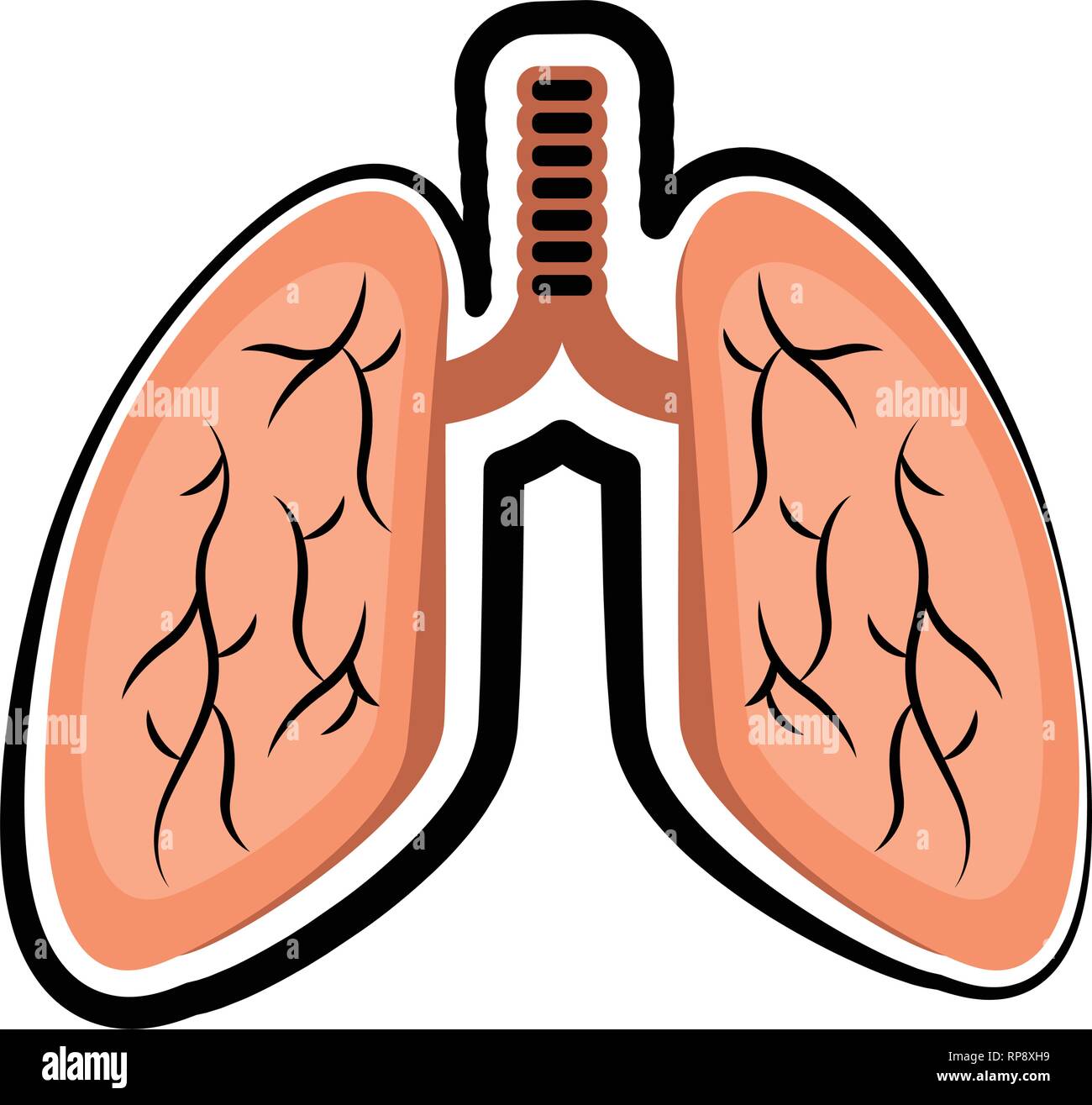 Isolated human lungs Colored sketch Stock Vector Image & Art - Alamy