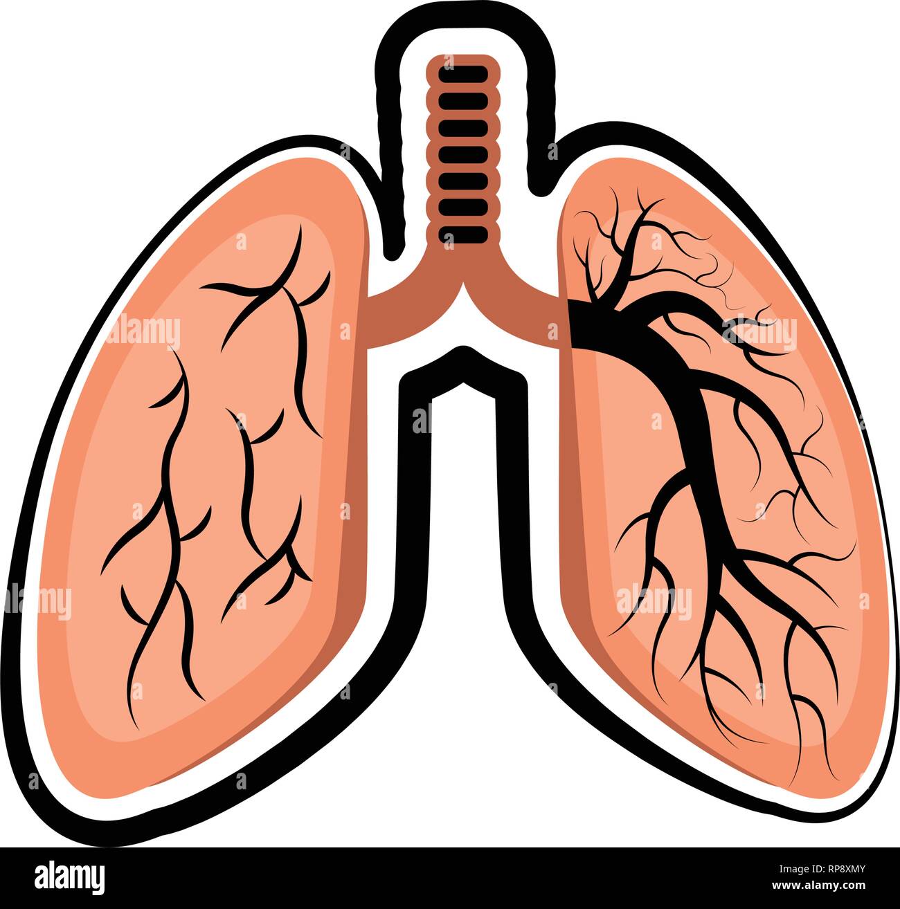 Human cut lung. Colored sketch Stock Vector Image & Art - Alamy