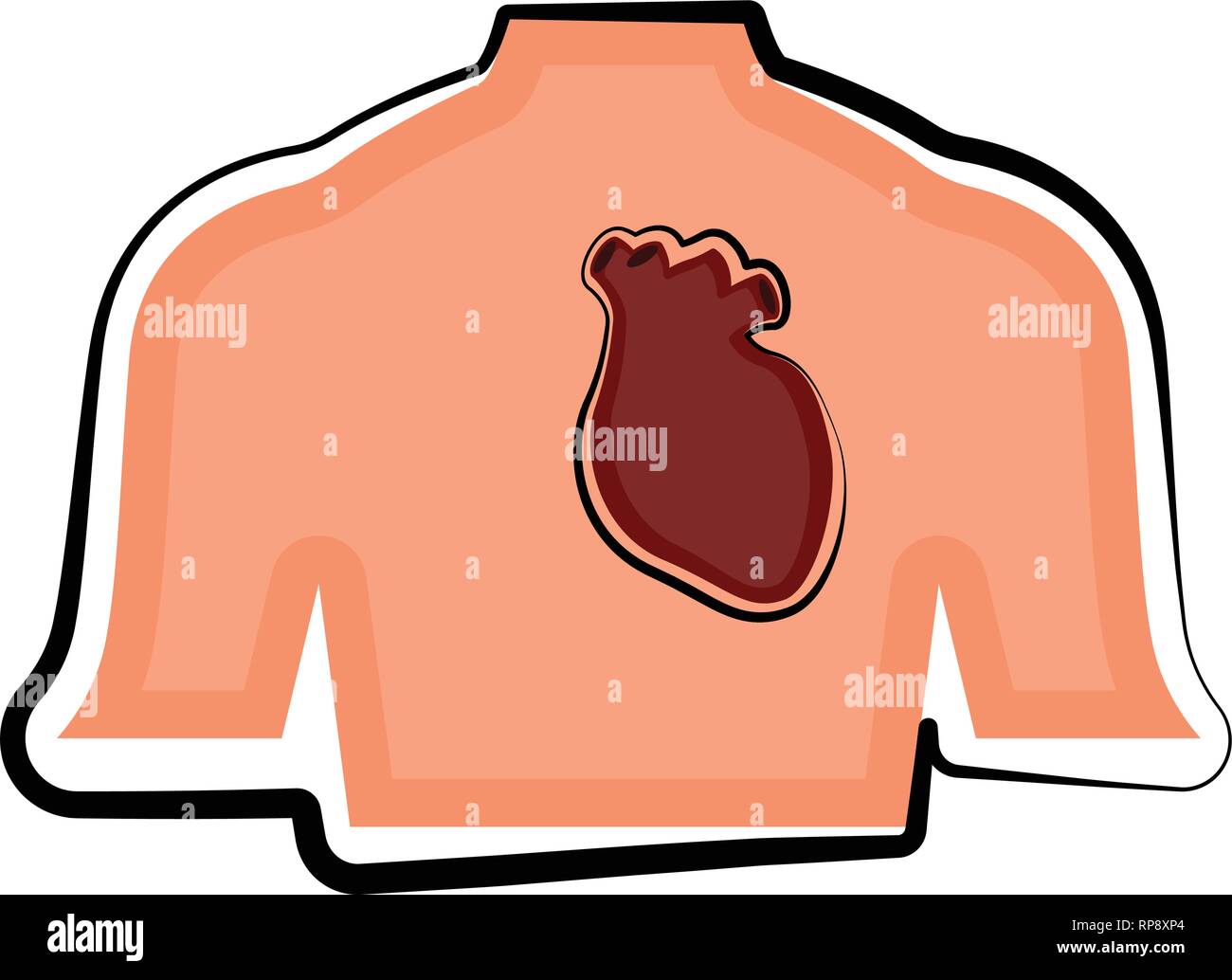 Hearth anatomy hi-res stock photography and images - Alamy