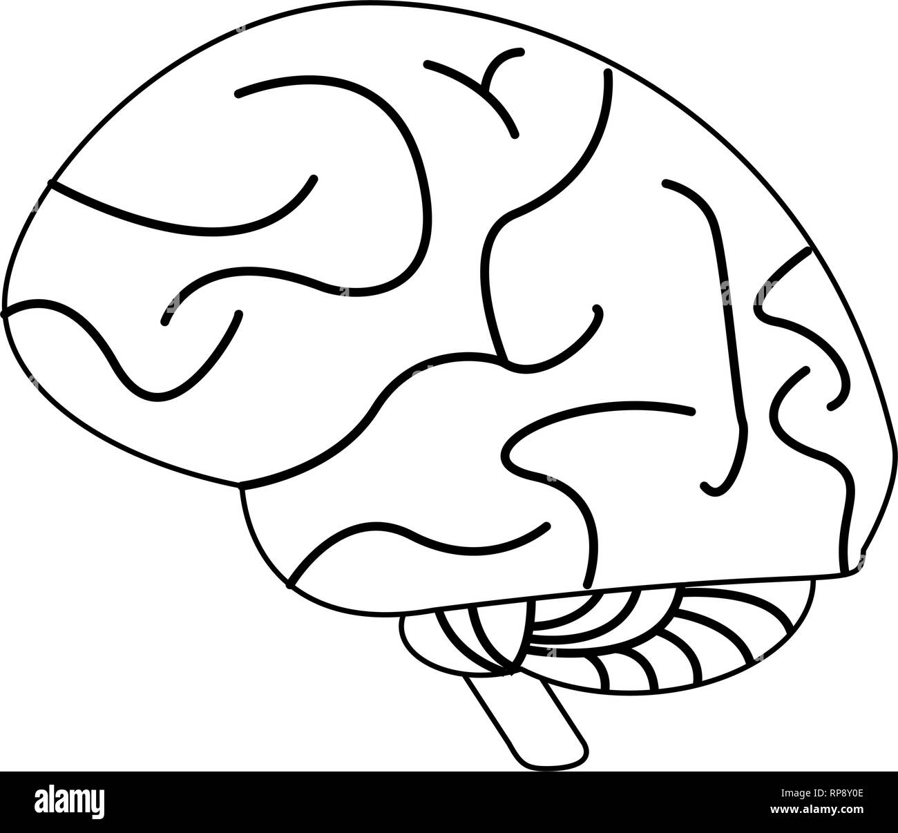Human Brain Symbol Black and White Stock Photos & Images - Alamy