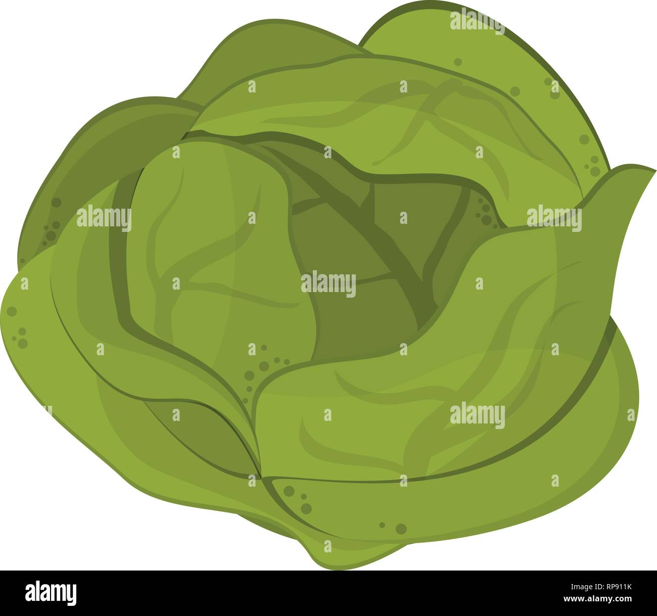 Lettuce vegetable food symbol Stock Vector Image & Art - Alamy