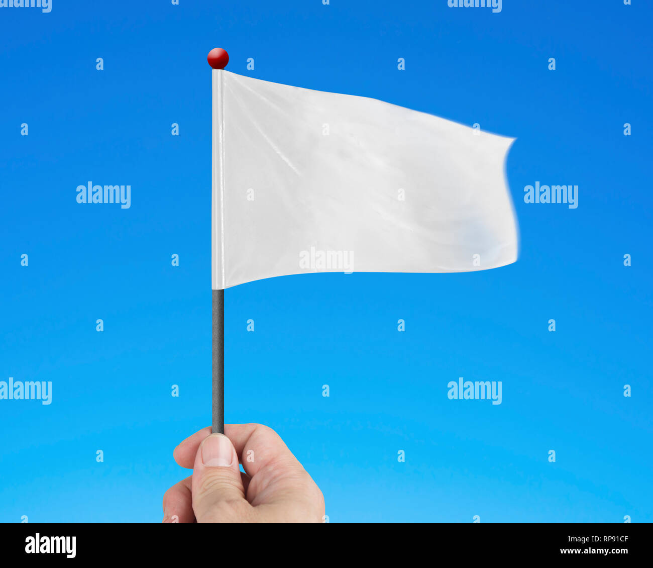 hand holding blank white flag isolated on blue background Stock Photo ...