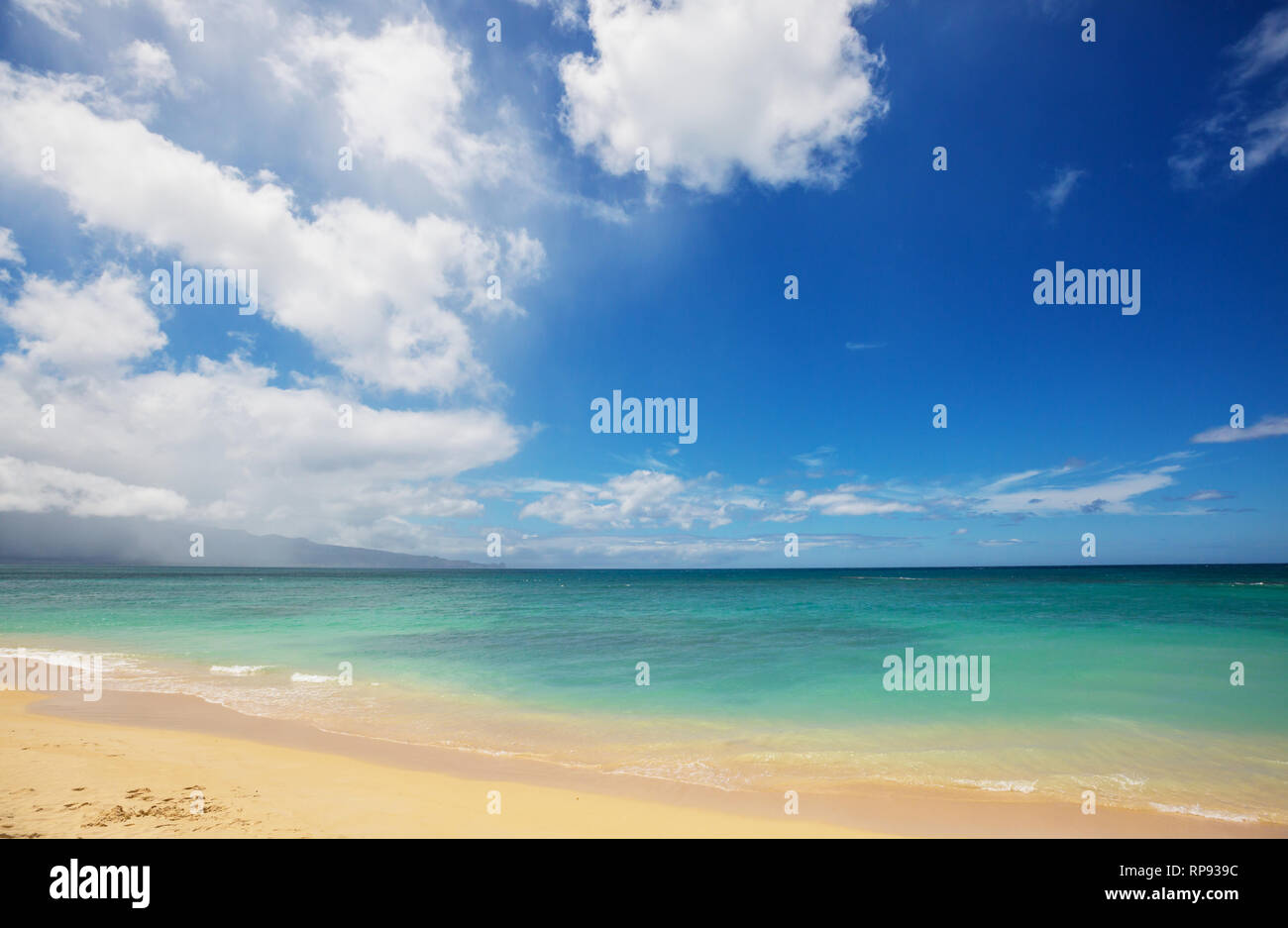 Amazing hawaiian beach. Wave in ocean at sunset or sunrise with surfer ...
