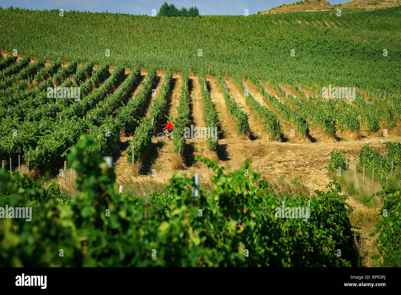 Pagos de uriaz hi-res stock photography and images - Alamy