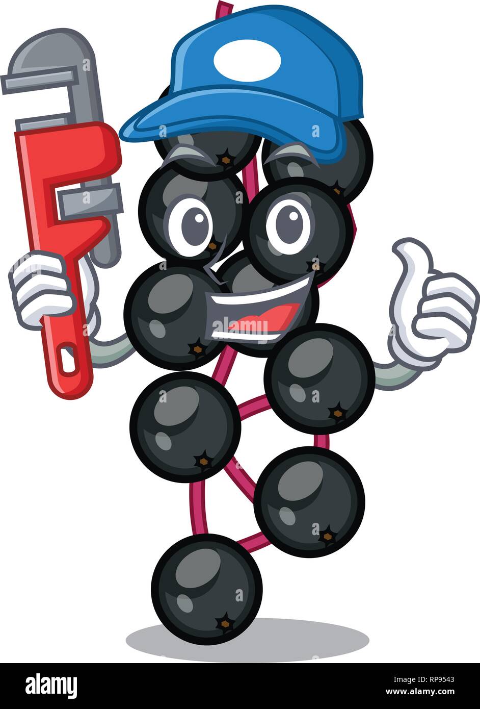 Plumber elderberry fruit is isolated with characters Stock Vector Image ...