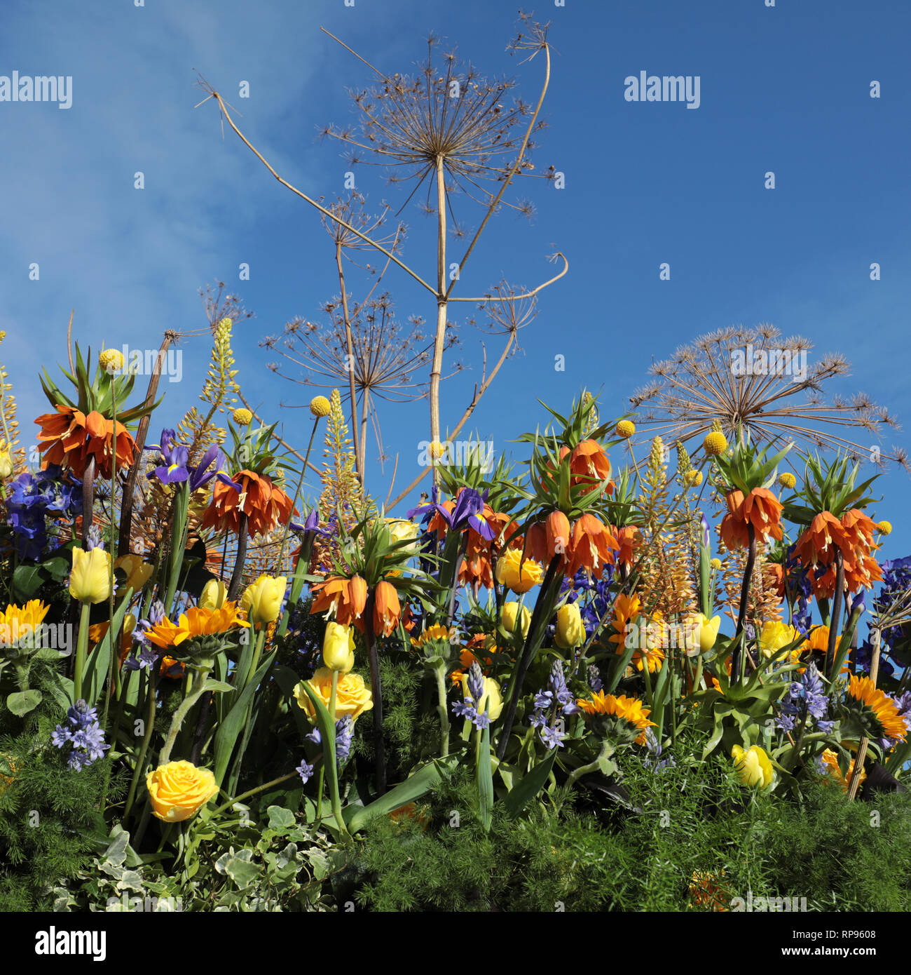 Kurdistan copy hi-res stock photography and images - Alamy