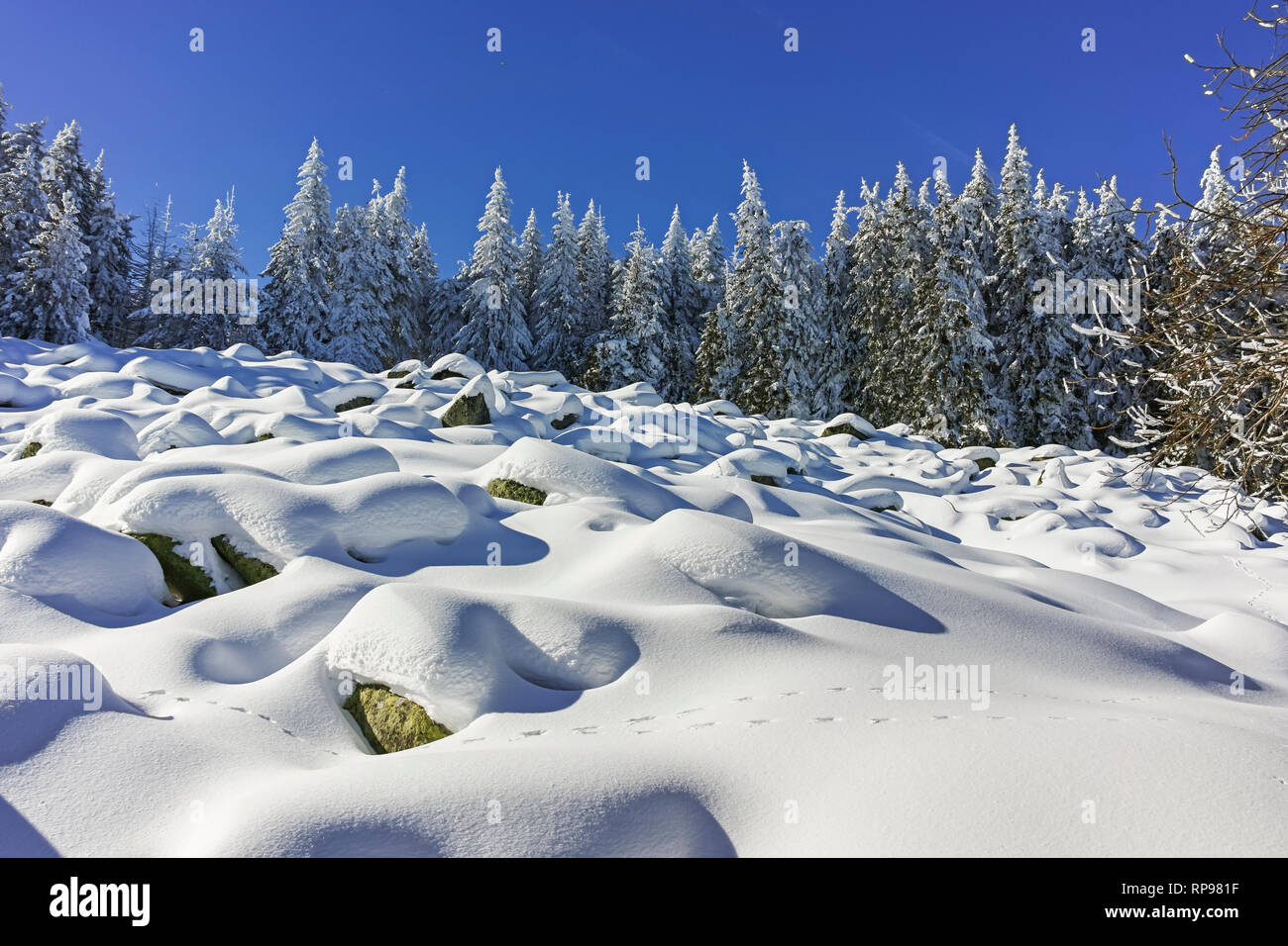 Winter wiew of Vitosha Mountain, Sofia City Region, Bulgaria Stock ...