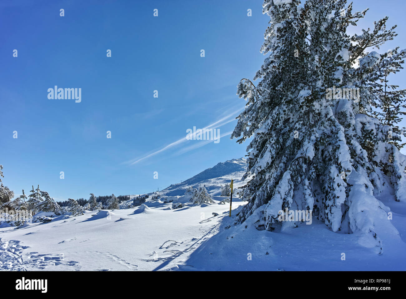 Winter wiew of Vitosha Mountain, Sofia City Region, Bulgaria Stock ...