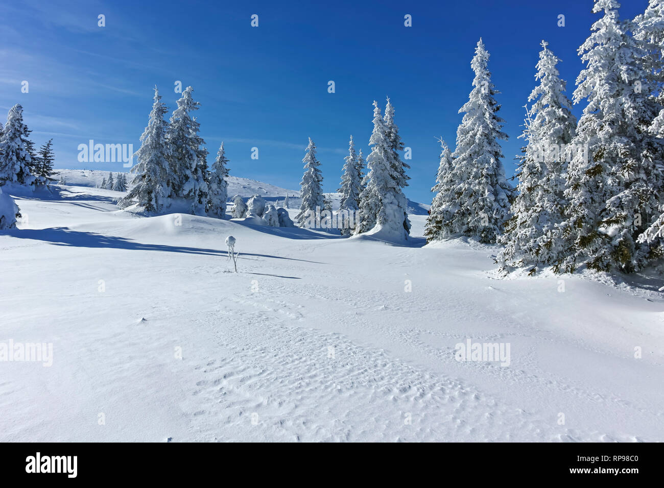 Winter wiew of Vitosha Mountain, Sofia City Region, Bulgaria Stock ...