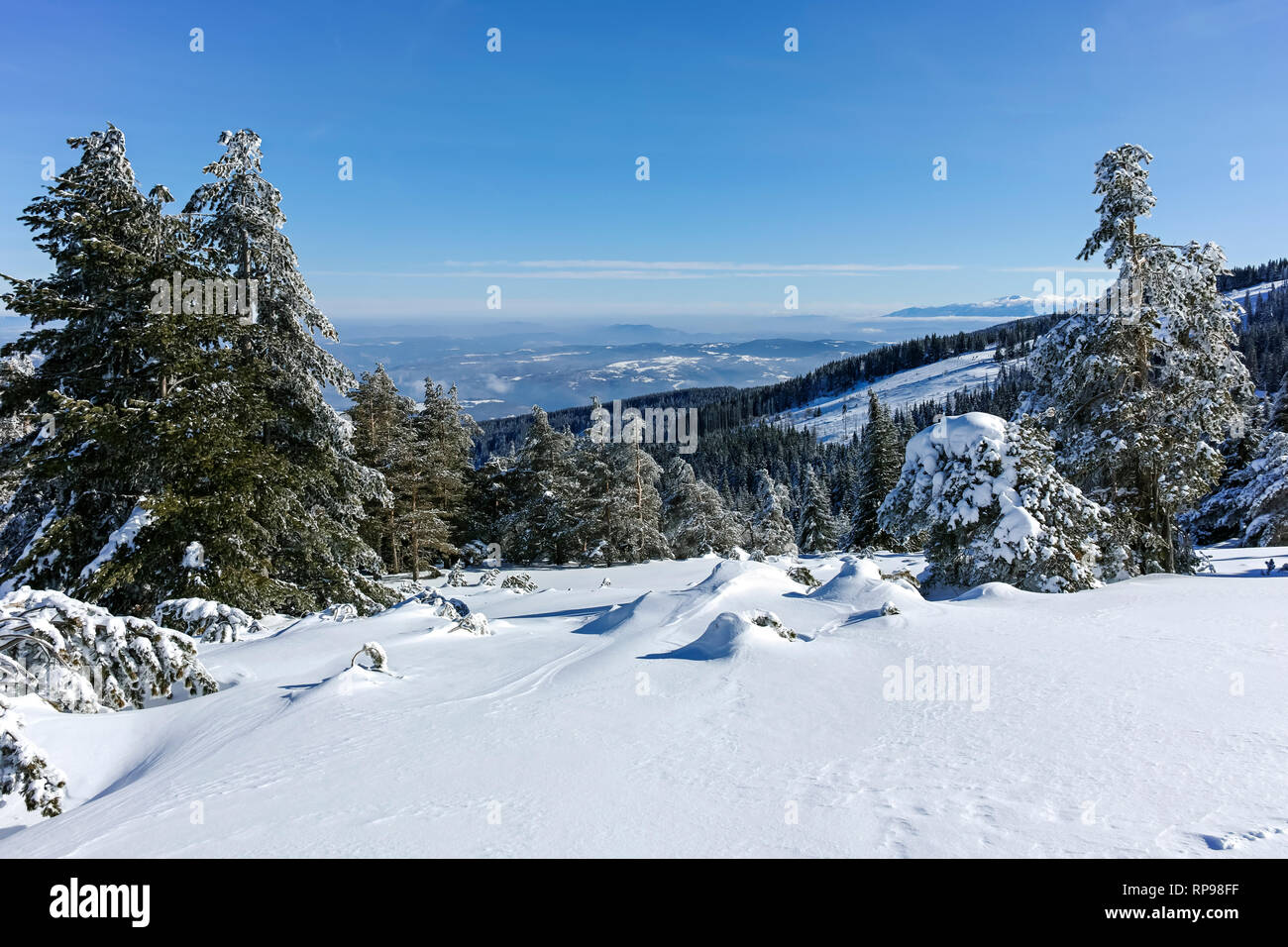Winter wiew of Vitosha Mountain, Sofia City Region, Bulgaria Stock ...