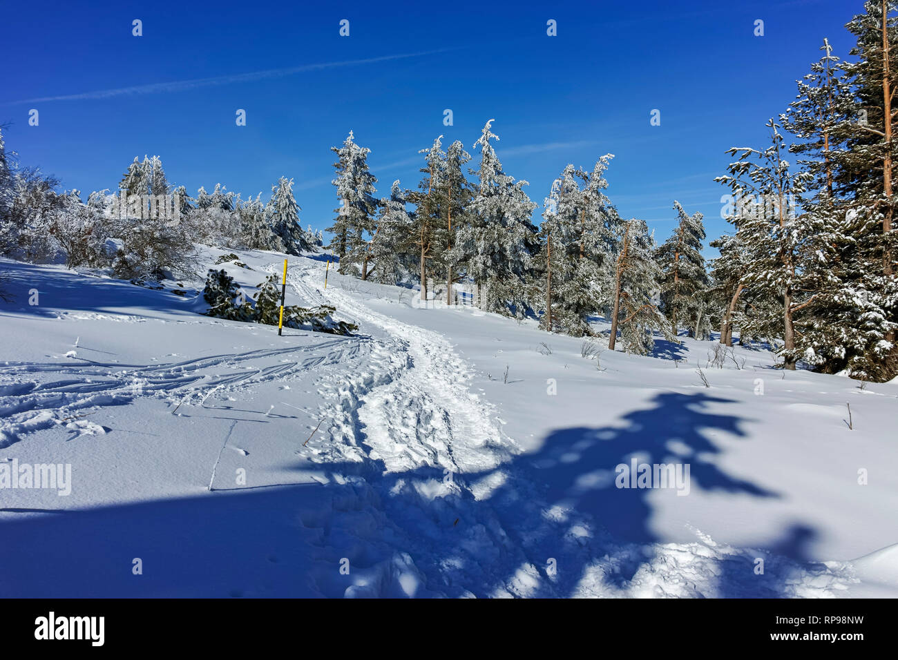 Winter wiew of Vitosha Mountain, Sofia City Region, Bulgaria Stock ...