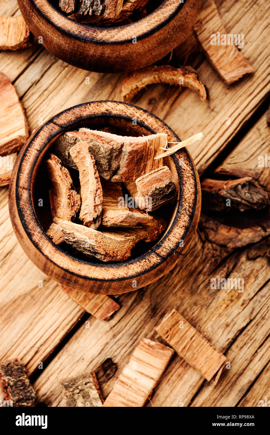 Oak bark in mortar on a dark wooden table. Oak in herbal medicine ...