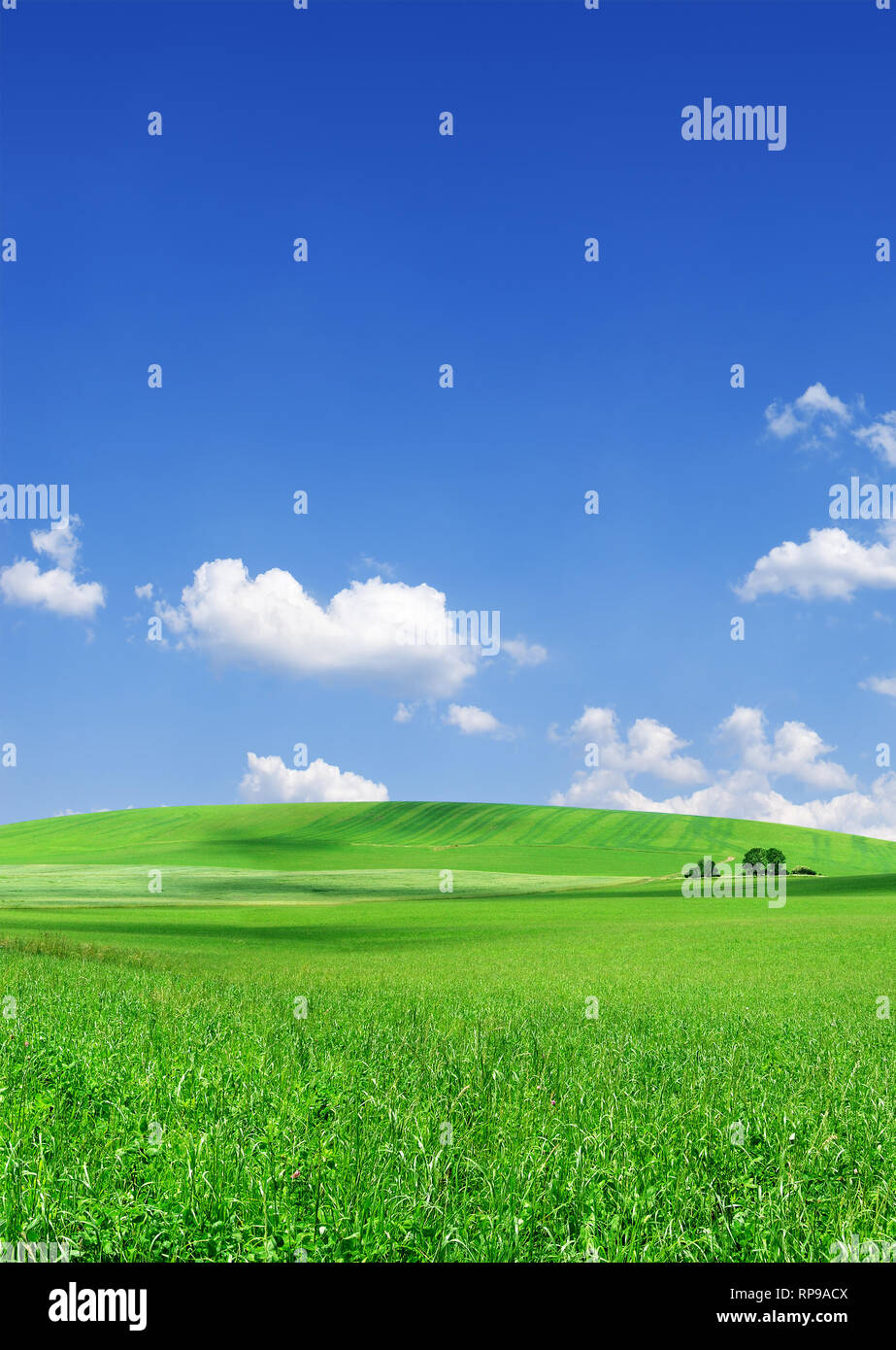 Green Rolling Hills Blue Sky Background Of A Green Landscape With
