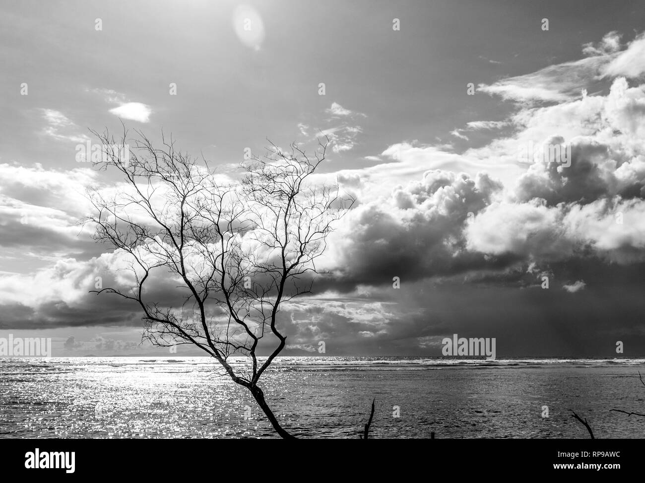 Ocean view and dry ocean on the beach of Gili Trawangan, Indonesia ...