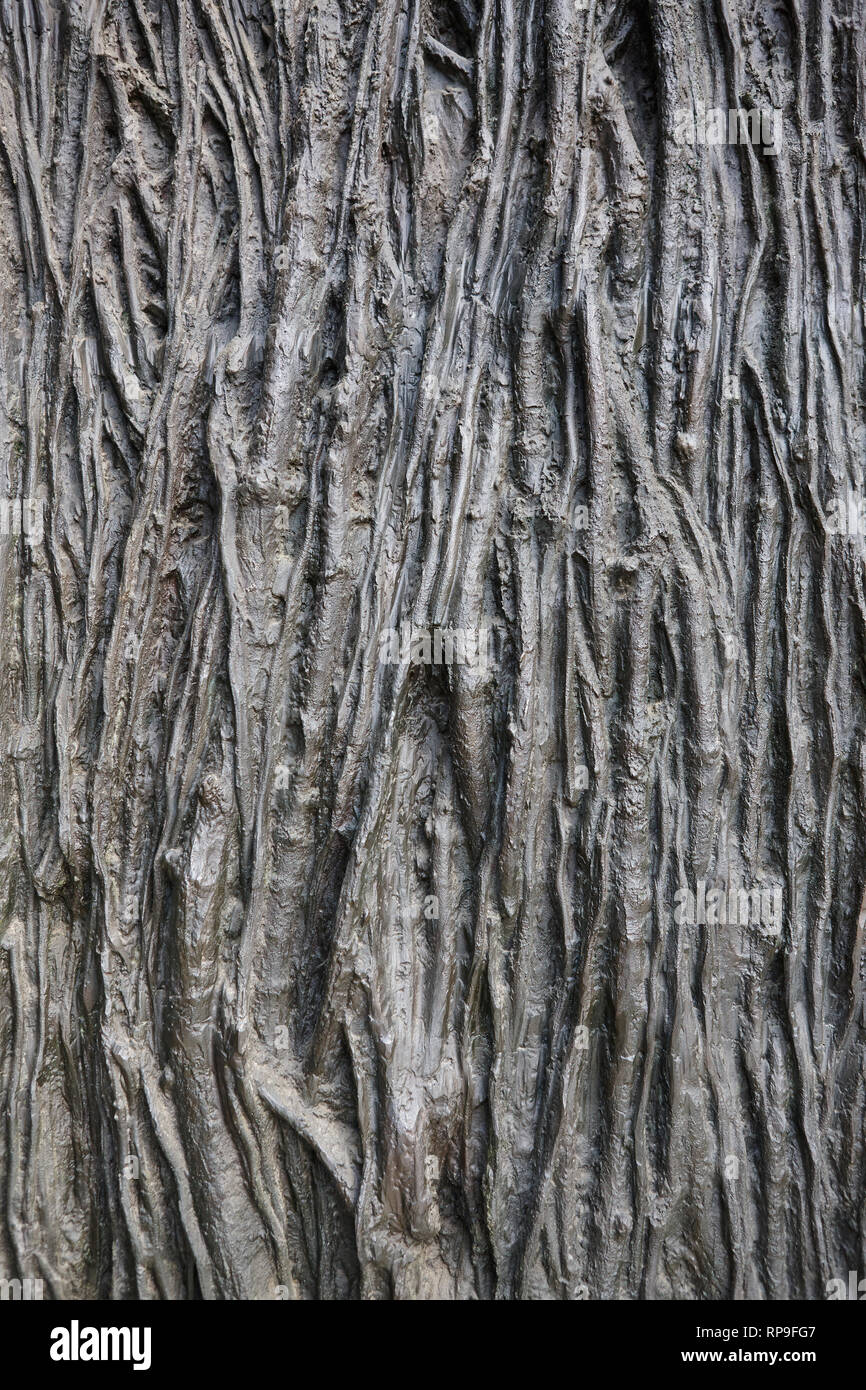 Textured backgrounds with tree roots form. Nature abstract surface ...