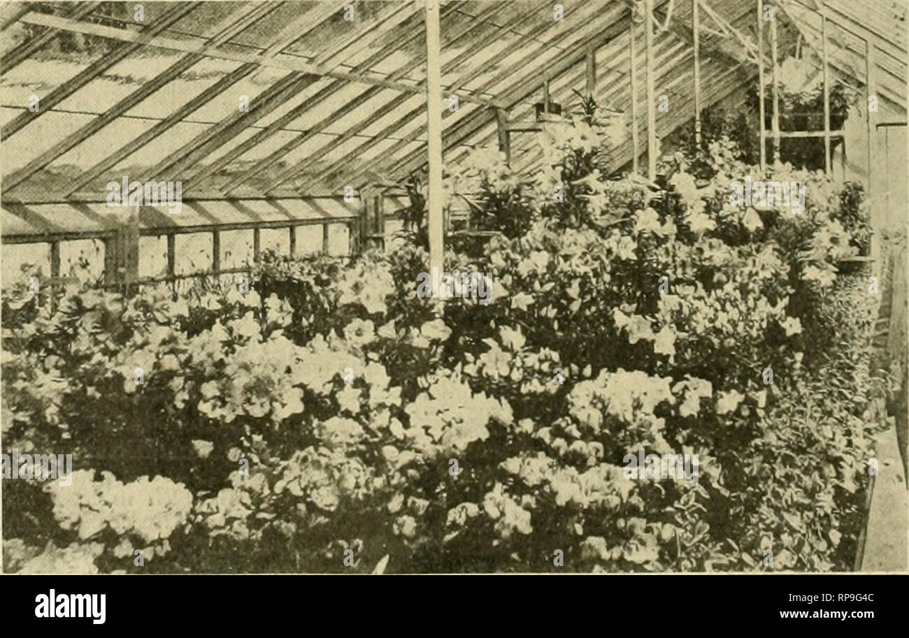 Princess alice of monaco hi-res stock photography and images - Alamy