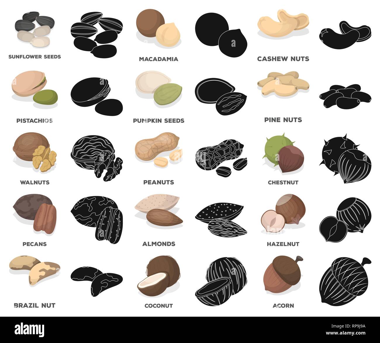 acorn,almonds,brazil,cartoon,black,cashew,chestnut,coconut,collection ...