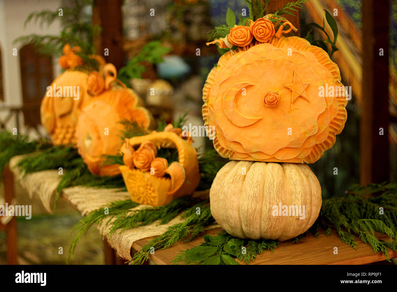 Squashed Bird High Resolution Stock Photography and Images - Alamy