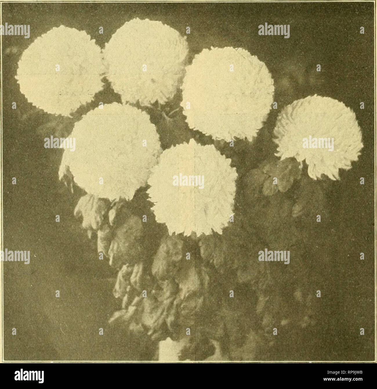 Hp share hi-res stock photography and images - Alamy