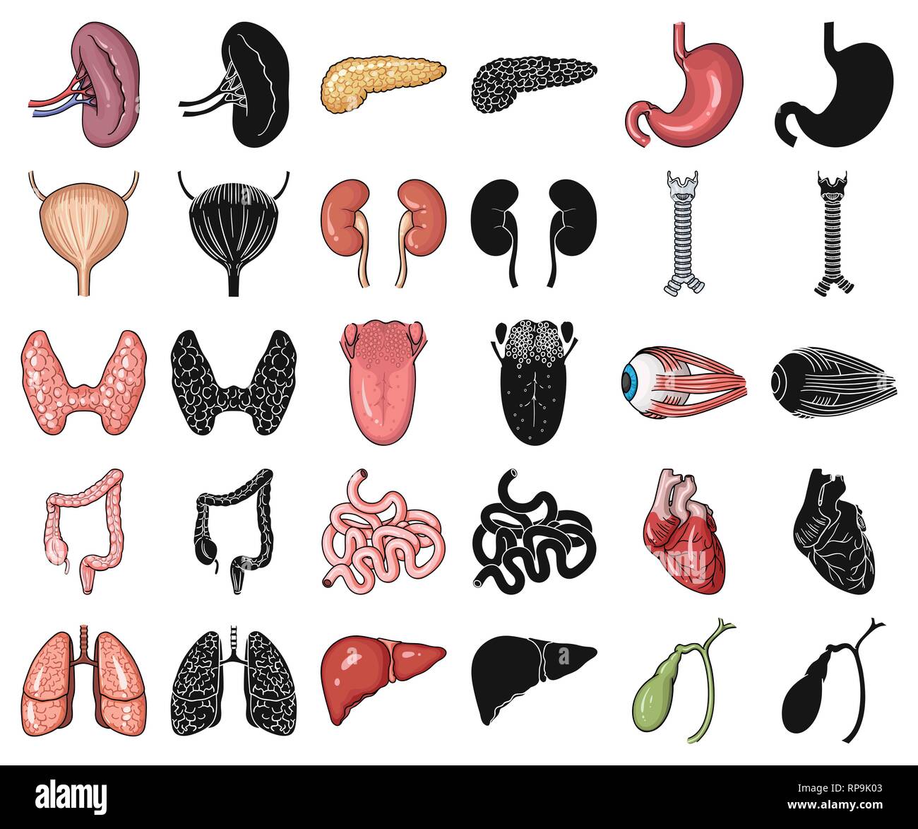 anatomy,art,bladder,body,brain,cartoon,black,collection,design,eyeball ...