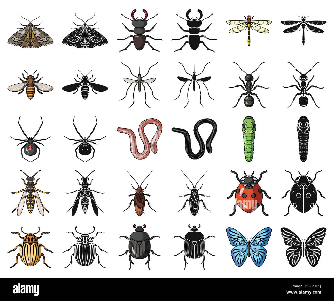 Dragonfly species Stock Vector Images - Alamy