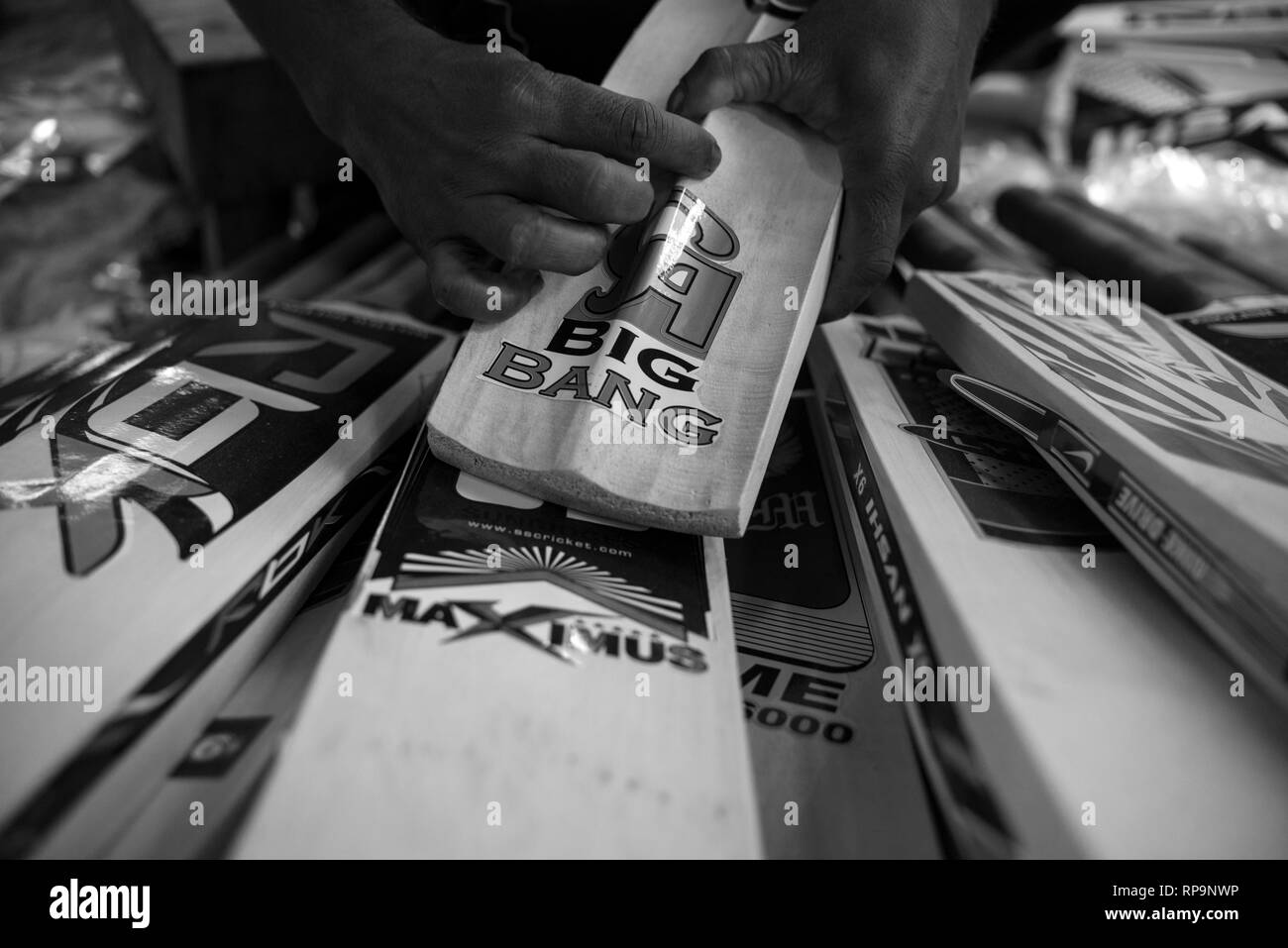 (flower or flowers) and (bat or bats) Black and White Stock Photos ...