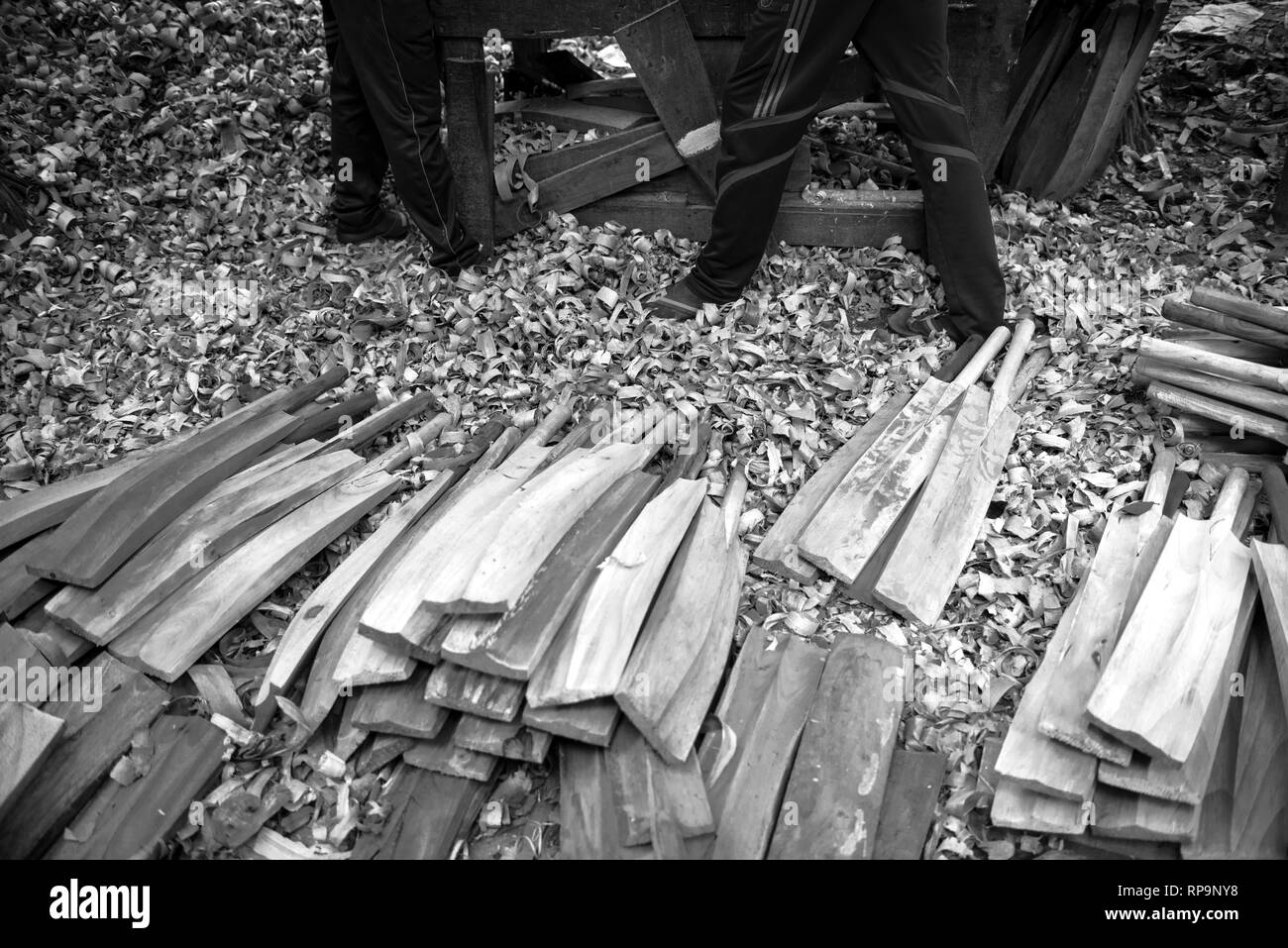 (flower or flowers) and (bat or bats) Black and White Stock Photos ...