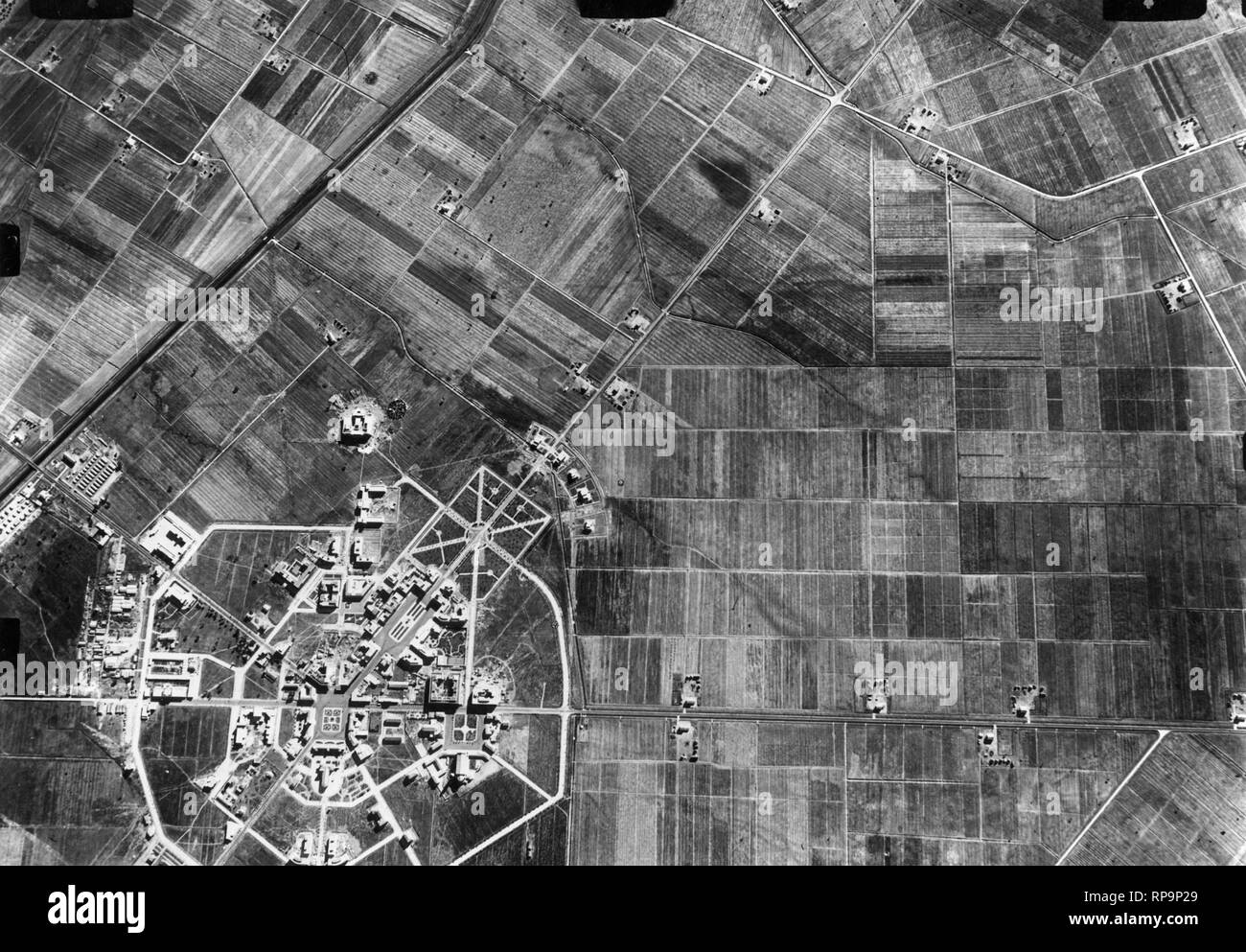 Littoria View High Resolution Stock Photography and Images - Alamy