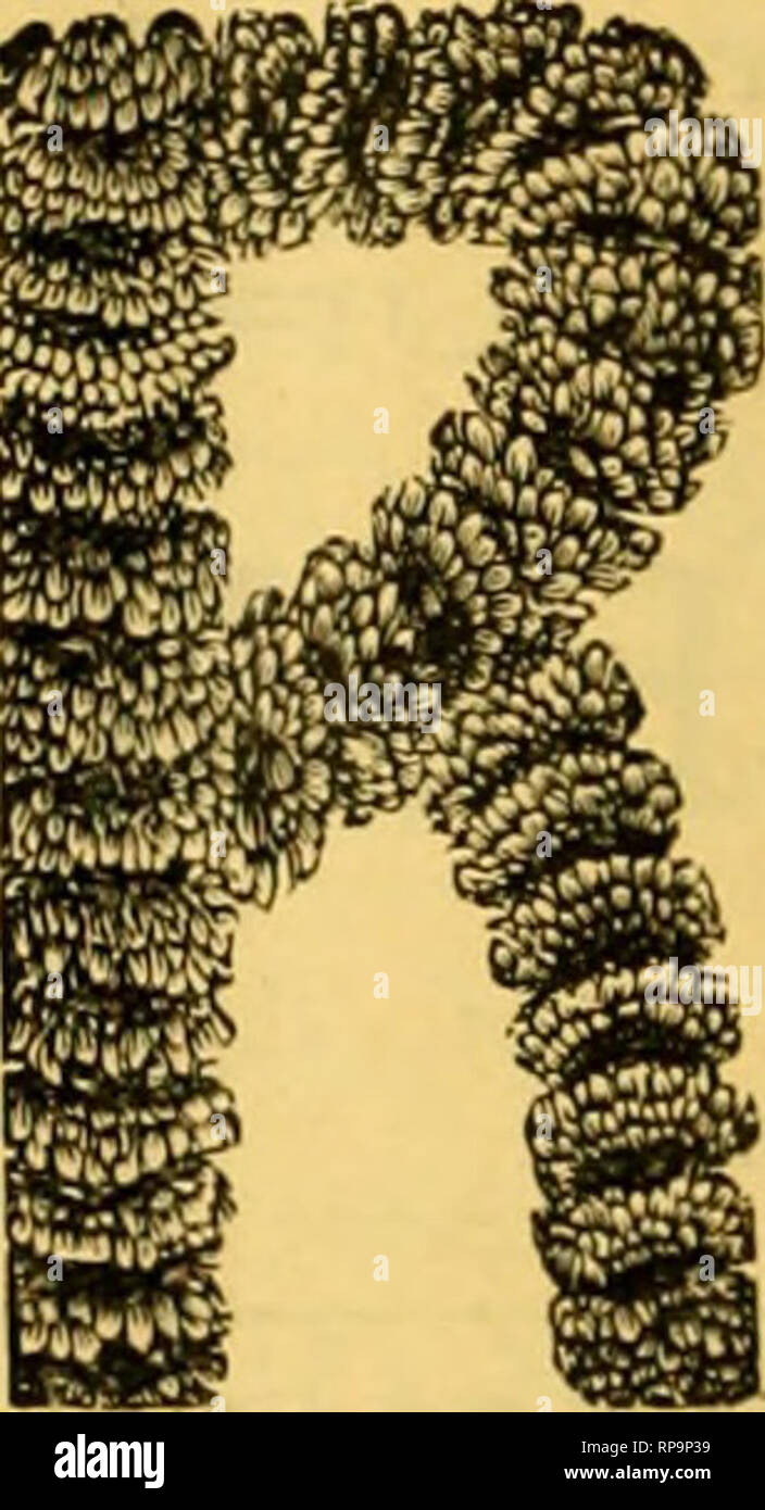 Ako letter hi-res stock photography and images - Alamy