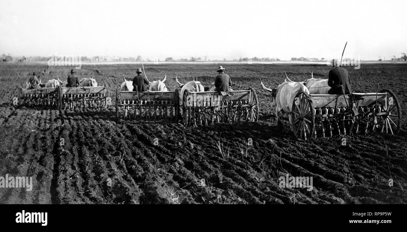 Sowing farmers Black and White Stock Photos & Images - Alamy