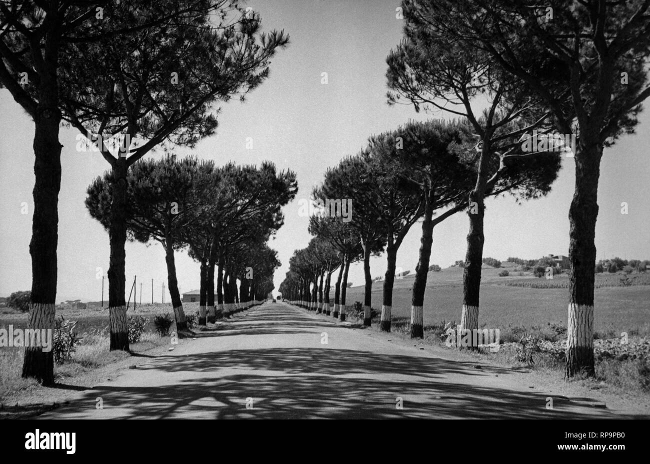 Via Aurelia High Resolution Stock Photography and Images - Alamy