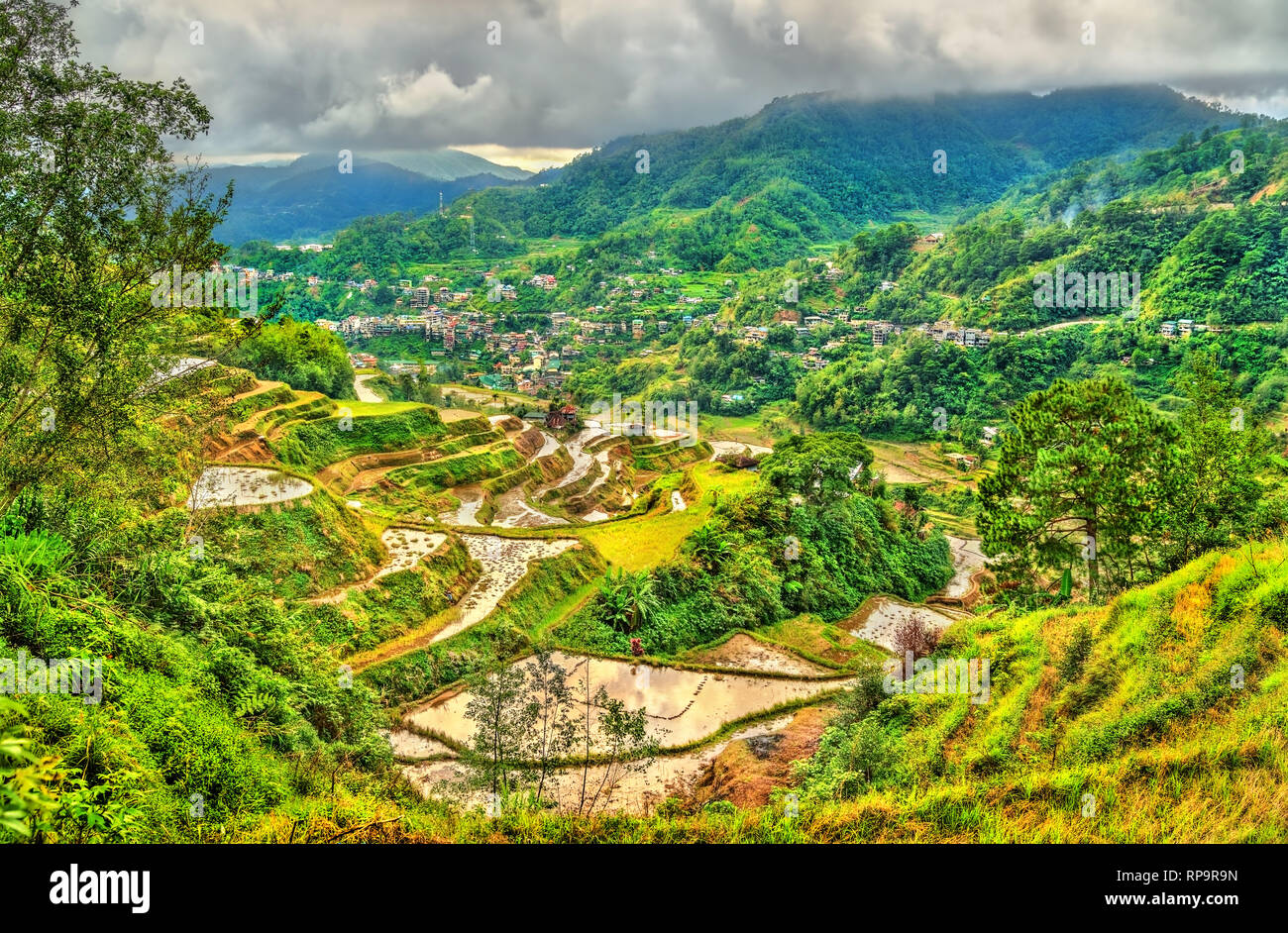Banaue Rice Terraces - northern Luzon, UNESCO world heritage in ...