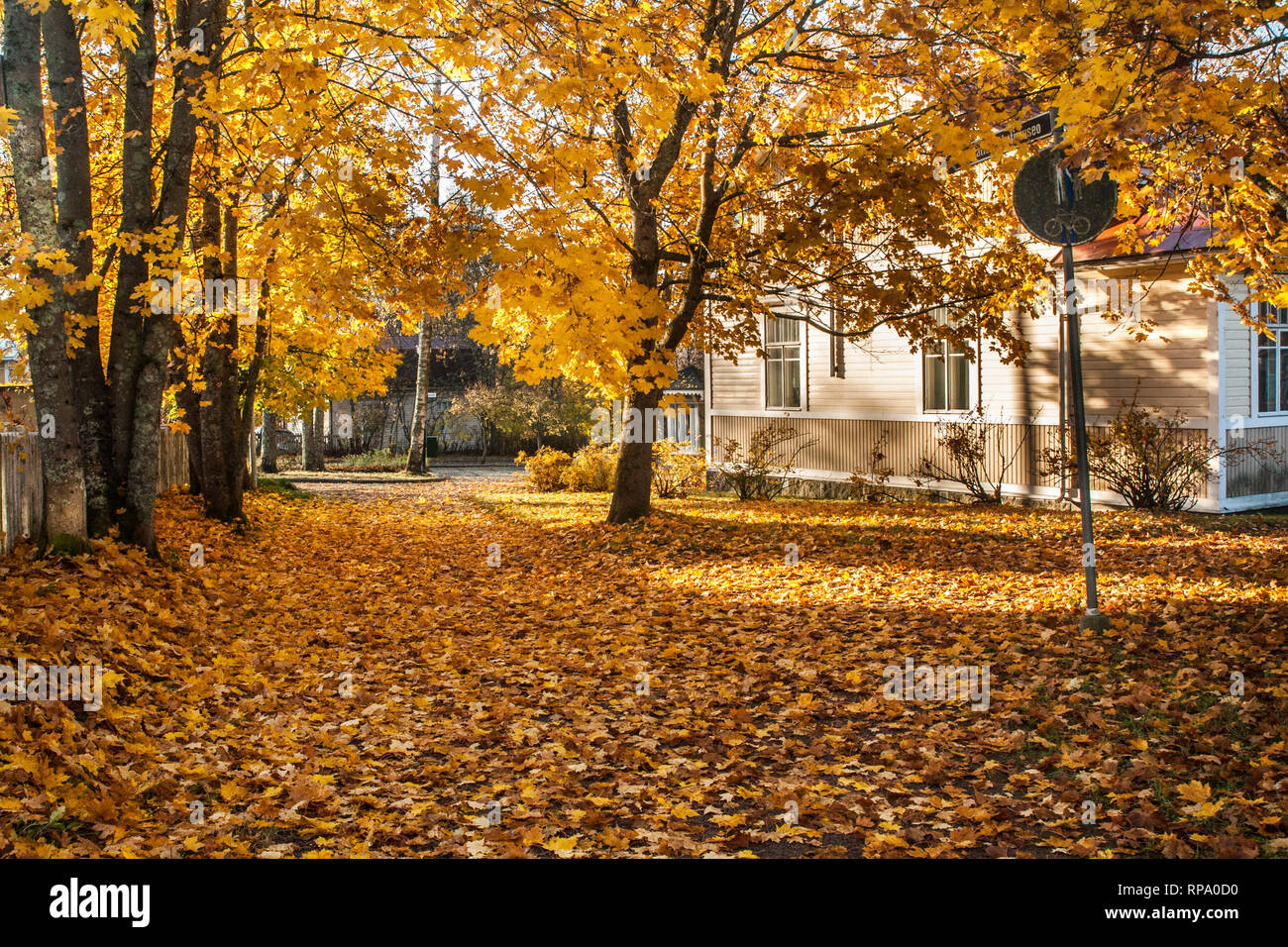 Autumn landscape - wooden house among the yellow autumn trees and leaf ...