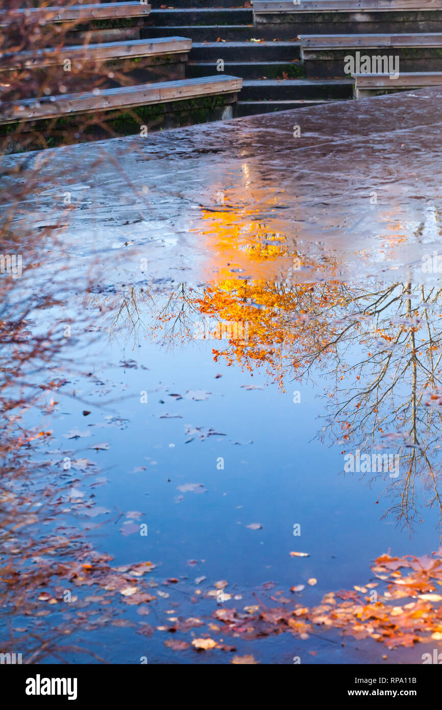 Puddles reflect sky rain hi-res stock photography and images - Alamy