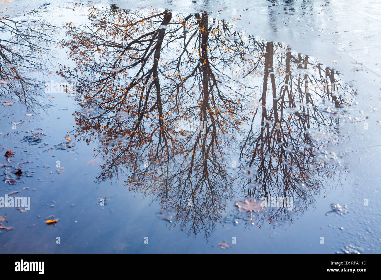 Puddles reflect sky rain hi-res stock photography and images - Alamy