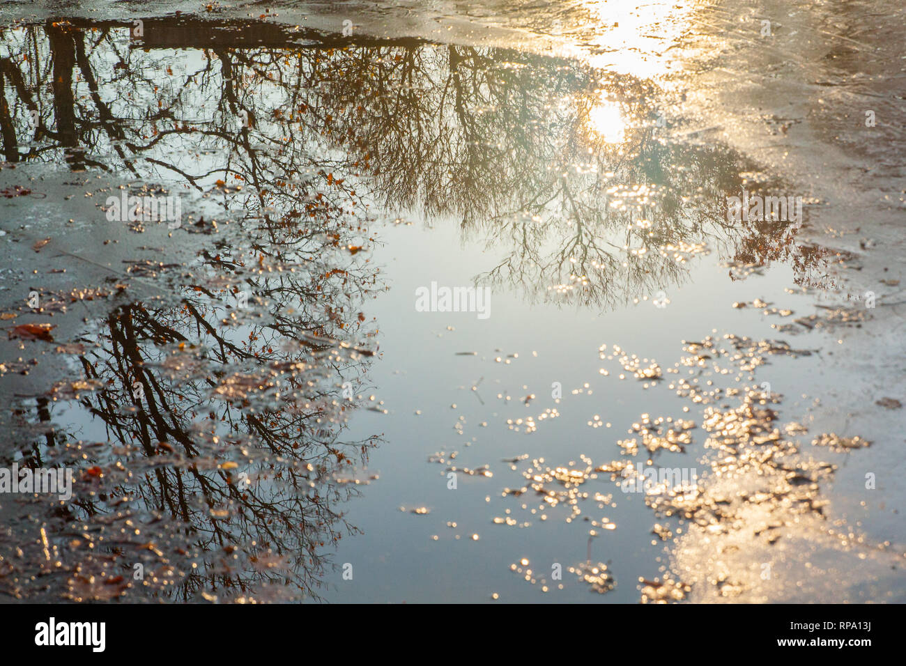 Puddles reflect sky rain hi-res stock photography and images - Alamy