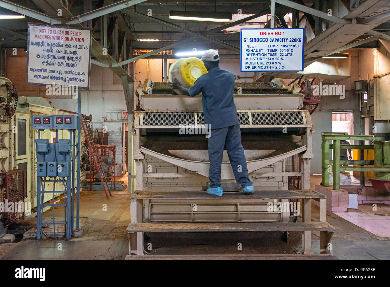 Worker at work in the Lockhart tea factory using traditional methods ...